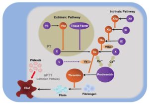 Haemostatic agents in surgery – O&G Magazine