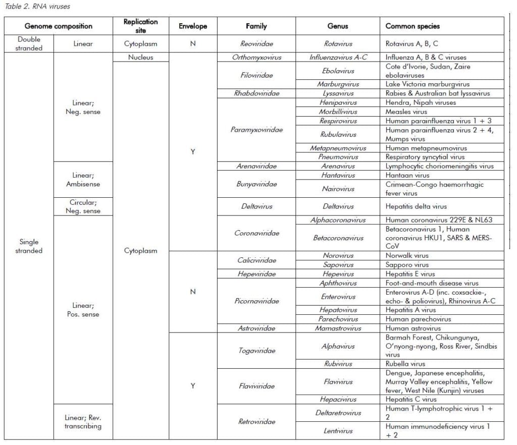 Virology: a guide to the basics – O&G Magazine